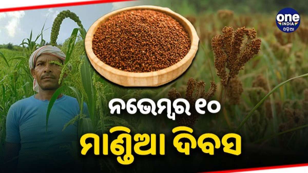 ଆସନ୍ତା ୧୦ ତାରିଖରେ ମାଣ୍ଡିଆ ଦିବସ ପାଳନ କରିବ ସାର ରାଜ୍ୟ | Odisha To ...