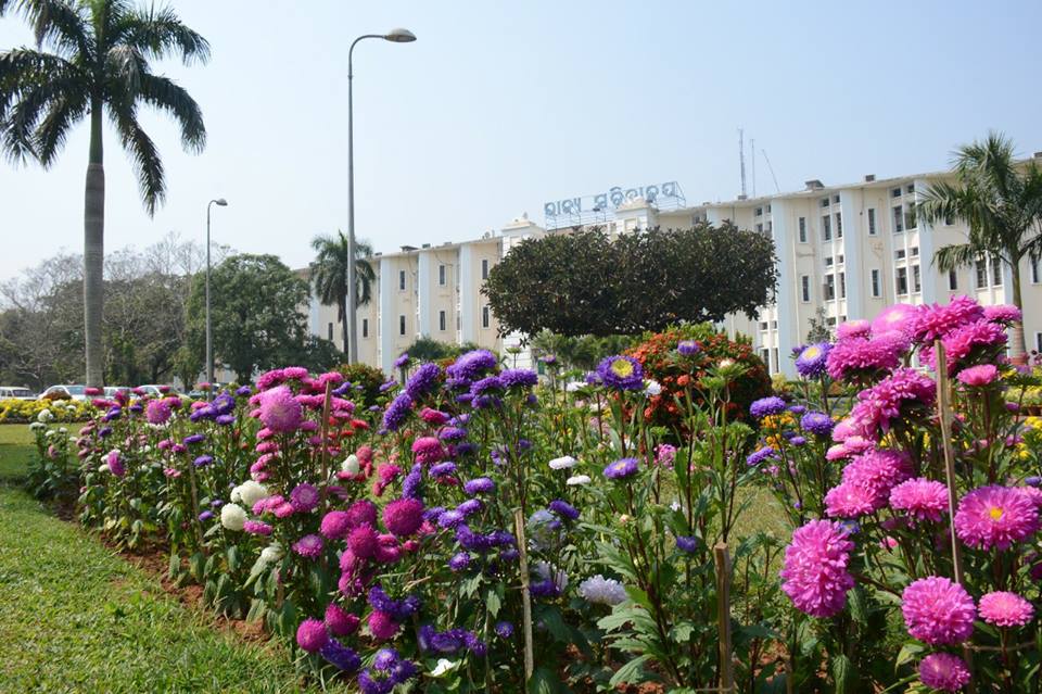 ଜାନୁଆରୀ ମାସର ସବୁ ଛୁଟି ଦିନରେ ଦର୍ଶକଙ୍କ ପାଇଁ ଖୋଲା ରହିବ ଲୋକସେବା ଭବନ ପୁଷ୍ପ ...