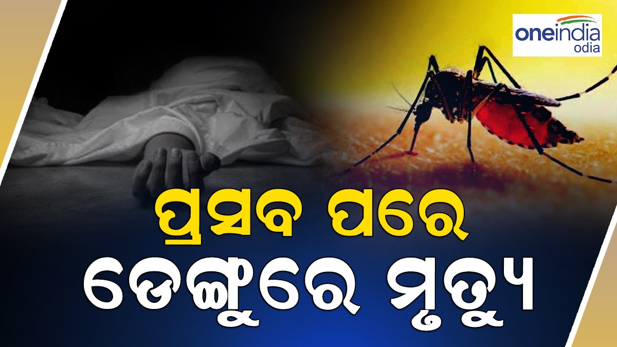 ରାଜଧାନୀରେ ଭୟଙ୍କର ହେଲାଣି ଡେଙ୍ଗୁ : ପିଲାକୁ ଜନ୍ମ ଦେଇ ଡେଙ୍ଗୁରେ ଚାଲିଗଲା ମାଆ ...