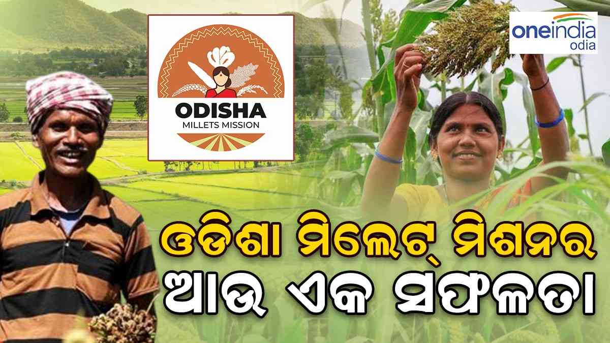 Odisha Millets Mission : ମାଣ୍ଡିଆର ଭୂ-ପ୍ରଜାତିକୁ ବିହନ ପ୍ରଣାଳୀରେ ଜାରି ...