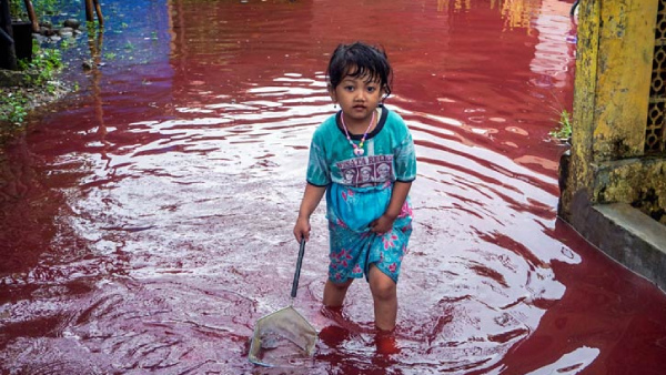 ଭାରତର ଏହି ରାଜ୍ୟରେ ହୋଇଥିଲା ରକ୍ତ ବର୍ଷା, ଜାଣନ୍ତୁ କାରଣ | There was blood ...