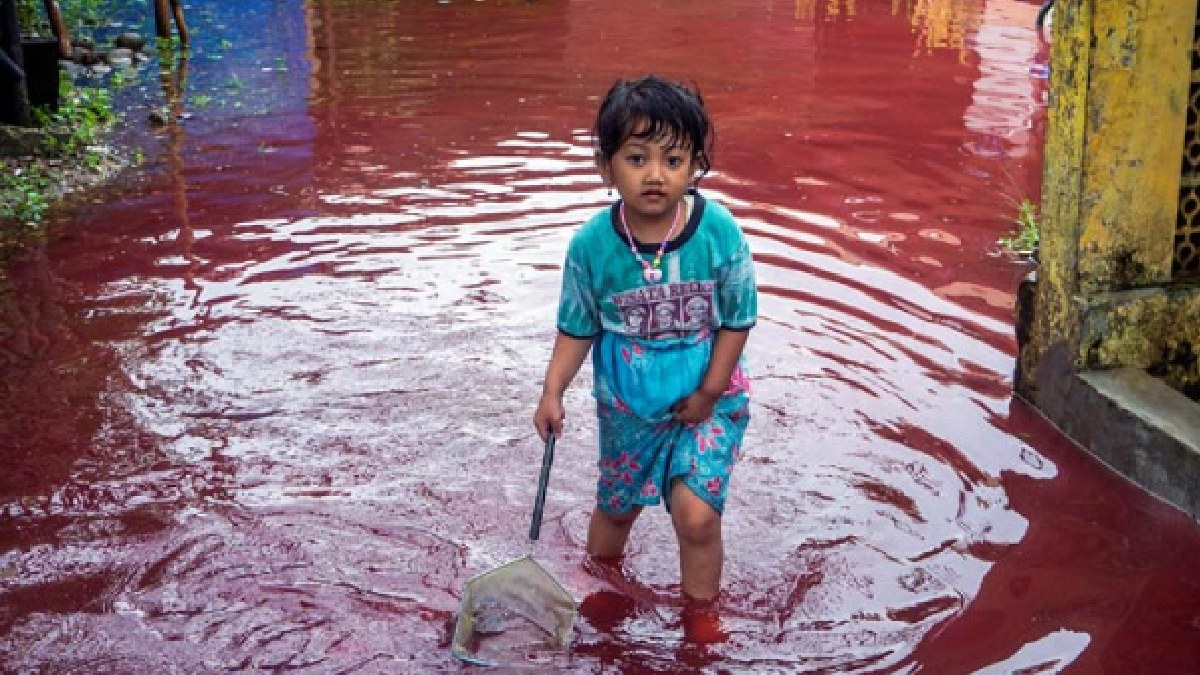 ଭାରତର ଏହି ରାଜ୍ୟରେ ହୋଇଥିଲା ରକ୍ତ ବର୍ଷା, ଜାଣନ୍ତୁ କାରଣ | There was blood ...