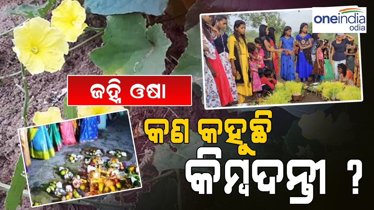 ପୁରପଲ୍ଲୀରେ ପାଳନ ହେଉଛି ଜହ୍ନିଓଷା: କାହିଁକି ଓ କେମିତି ପାଳନ ହୁଏ ଏହି ପର୍ବ ...
