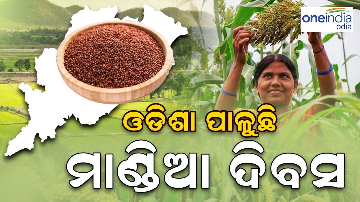 ବିଶ୍ୱ ଦରବାରରେ ମହକୁଛି ମାଣ୍ଡିଆ, ଆଜି ପାଳନ ହେଉଛି ମାଣ୍ଡିଆ ଦିବସ | Odisha Celebrating Millet Day - Odia ...
