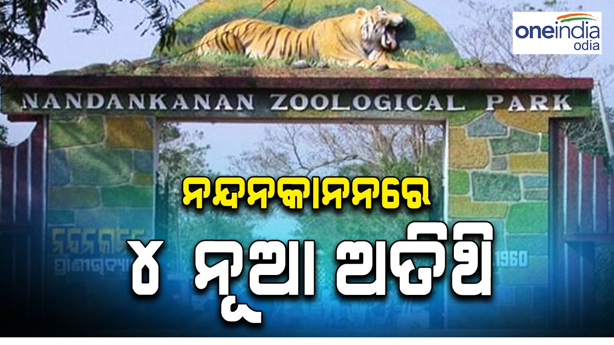 ନନ୍ଦନକାନନ ପ୍ରାଣୀ ଉଦ୍ୟାନକୁ ଆସିଲେ ୪ ନୂଆ ଅତିଥି | Odisha Nandankanan Zoo ...