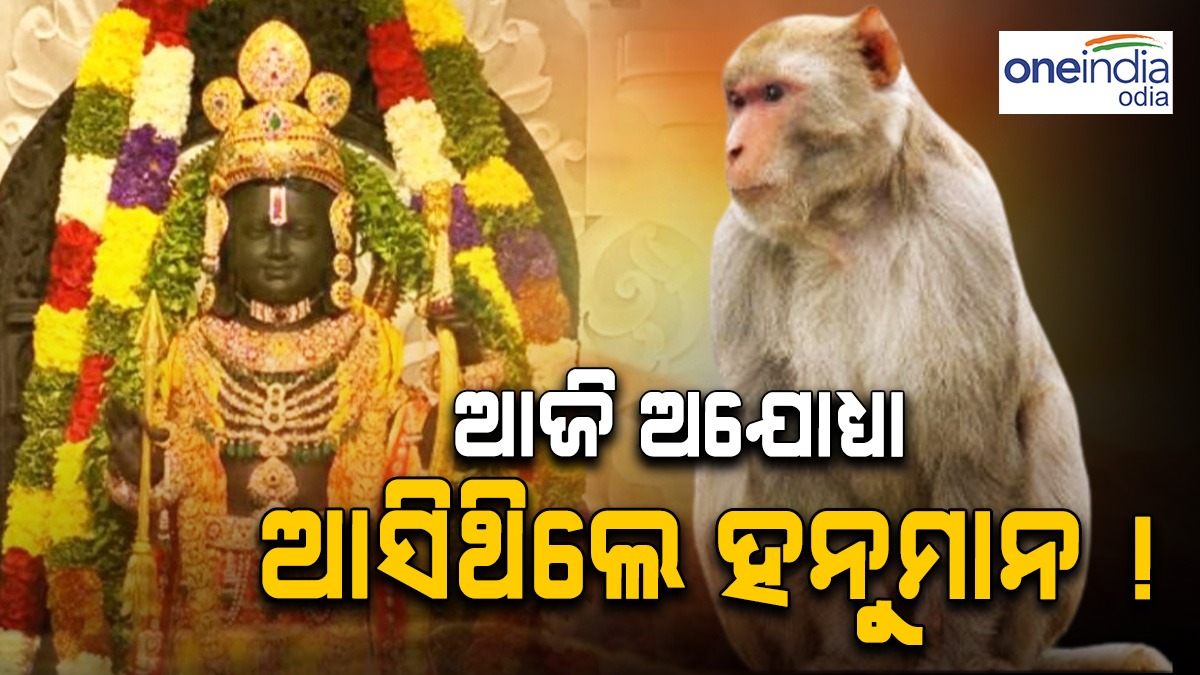 ଆଜି ରାମା ଲାଲାଙ୍କ ଦର୍ଶନ କଲେ ହନୁମାନ! | Ayodhya Ram lala Temple: Monkey ...