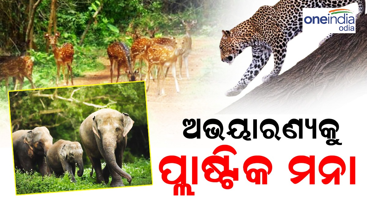 ଏପ୍ରିଲ ପହିଲାରୁ ରାଜ୍ୟର ସମସ୍ତ ଅଭୟାରଣ୍ୟରେ ପ୍ଲାଷ୍ଟିକ୍ ବ୍ୟାନ୍; ରୋକ୍‌ ଲଗାଇଲେ ...