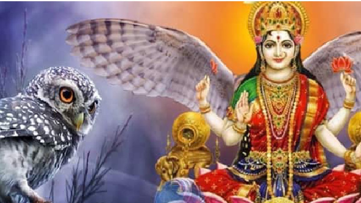 ଏପରି ଲୋକଙ୍କ ଉପରେ ଧନ ବର୍ଷା କରନ୍ତି ମା' ଲକ୍ଷ୍ମୀ | Laxmi doesn't leave ...